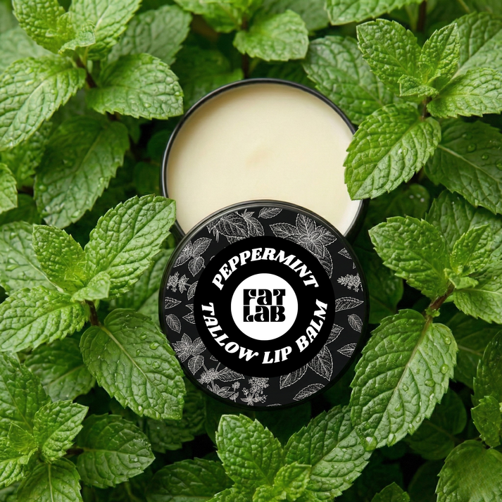 Peppermint Tallow Lip Balm – Fat Lab