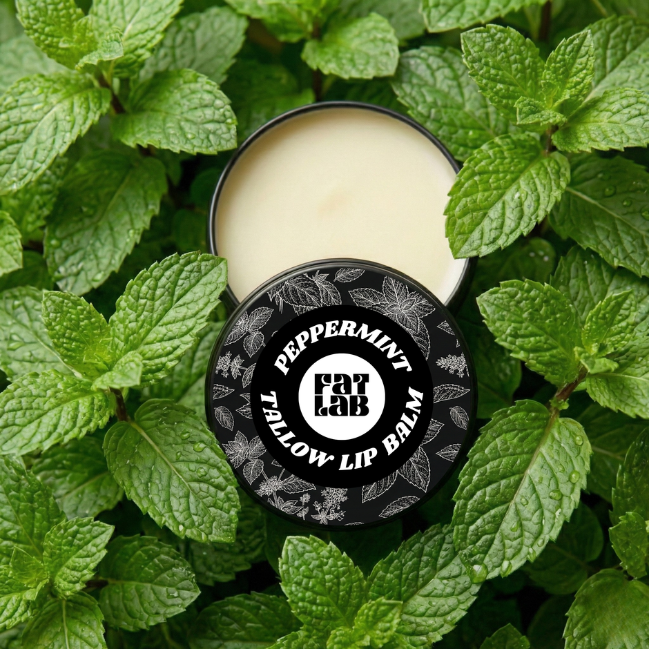 Shop All – Fat Lab