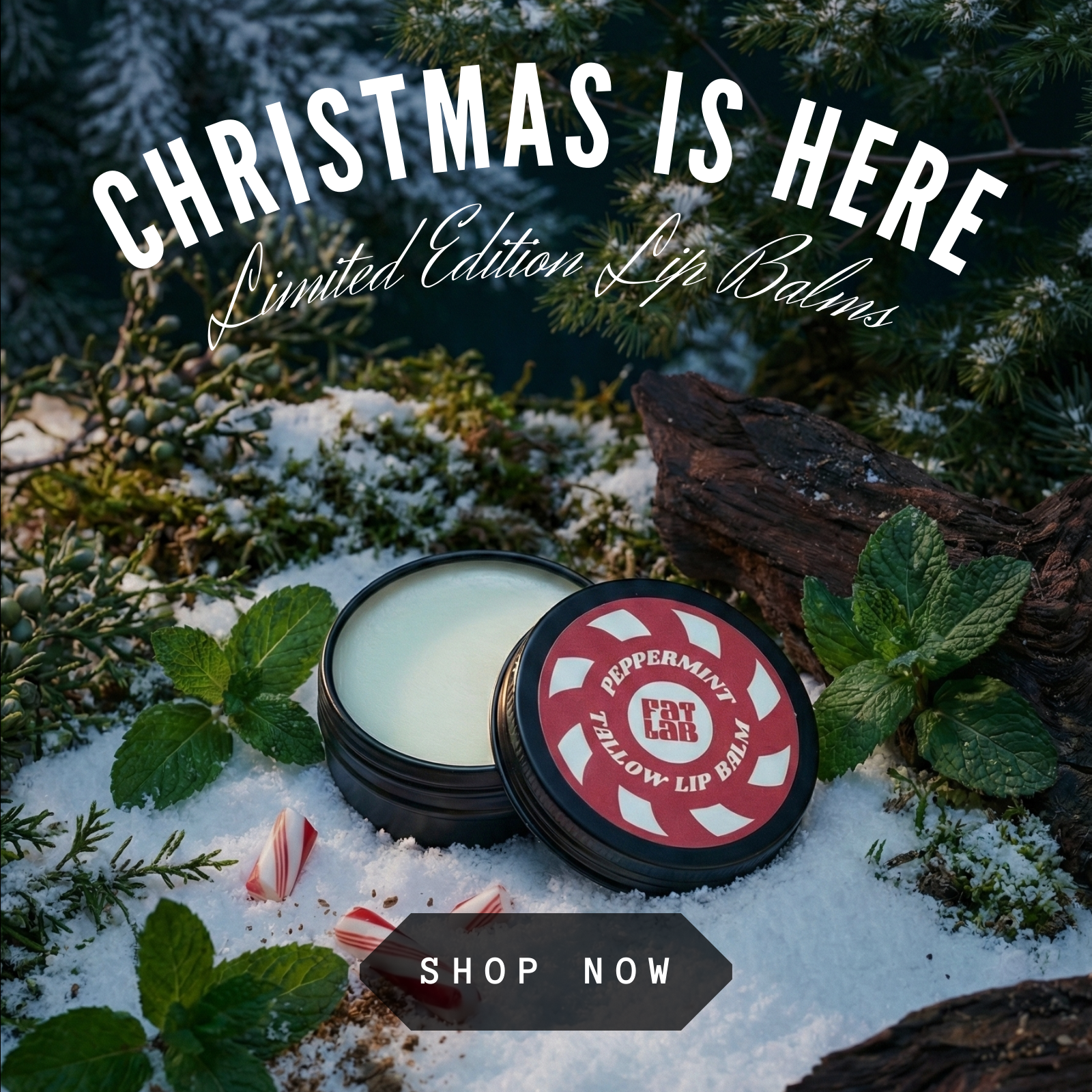 Fat Lab Co - Beef Tallow Skincare & Haircare